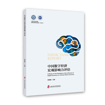 中国数字经济宏观影响力评估