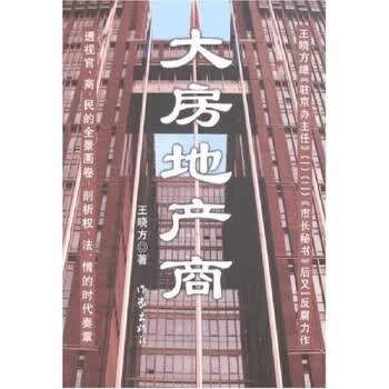 大房地产商【正版图书】