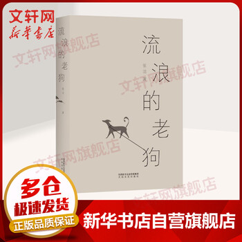 流浪的老狗
