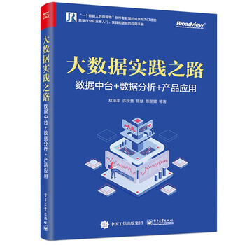 大数据实践之路：数据中台+数据分析+产品应用9787121416651电子工业