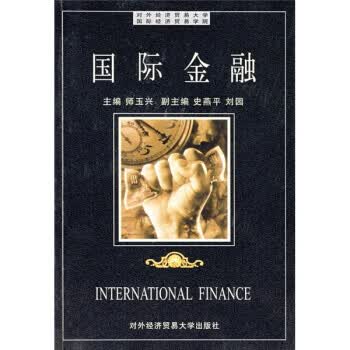 国际金融 师玉兴 编【正版书】