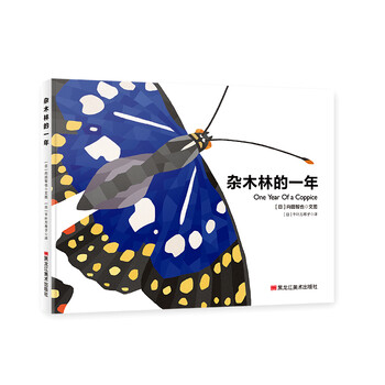 杂木林的一年