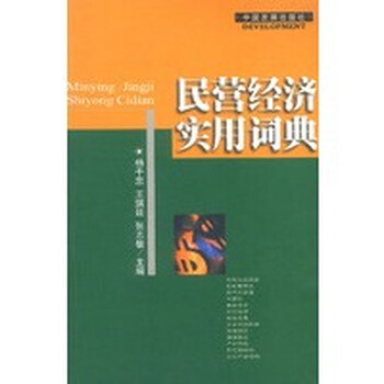 民营经济实用词典【正版图书】