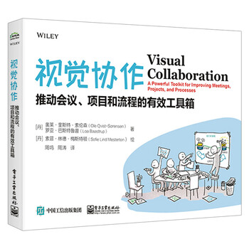 【出版社直供】 视觉协作：推动会议、项目和流程的有效工具箱