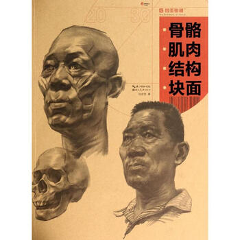 骨骼·肌肉·结构·块面