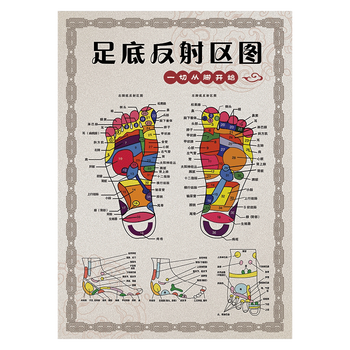 中医养生按摩国家标准足穴挂图脚底足部反射区宣穴位图传画WSA WSA18-04 足底反射区图 50x70cm  PP覆膜贴纸
