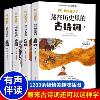 全套4册 藏在历史里的古诗词 写给孩子的古诗词 儿童文学 小学生三四五六年级课外阅读书籍