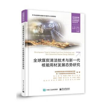 9787121375835 正版  全球煤炭清洁技术与新一代核能用材发展态势研究 全球煤炭清洁技术专