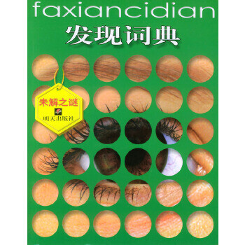 发现词典未解之谜 陈鹏