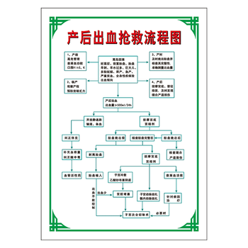 医院制度急救程序挂图过敏性休克抢救流程图示意图墙贴纸WSB169 WSB169-37 60*80cm  PP覆膜贴纸