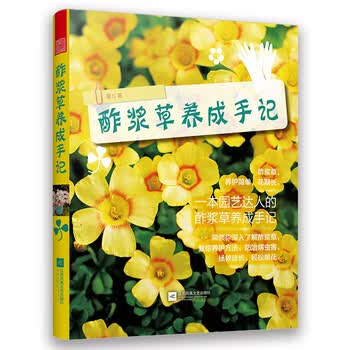 酢浆草养成手记