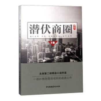 潜伏商圈：B集 小说 书籍 分类 财经
