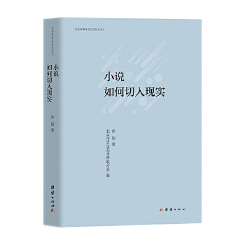 [正版图书] 小说如何切入现实 徐刚 团结出版社 9787512669666