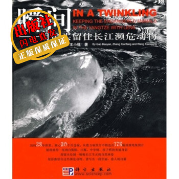 瞬间用镜头留住长江濒危动物
