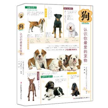 图解-狗(速查)