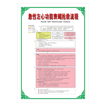 医院制度急救程序挂图过敏性休克抢救流程图示意图墙贴纸WSB169 WSB169-30 70*100cm  PP覆膜贴纸