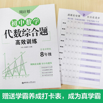周计划：初中数学代数综合题高效训练（8年级）