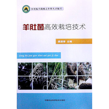 羊肚菌高效栽培技术