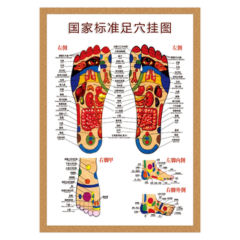 中医养生按摩国家标准足穴挂图脚底足部反射区宣穴位图传画WSA WSA48 国家标准足穴挂图 60x80cm  PP覆膜贴纸