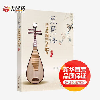 琵琶语 琵琶改编流行曲80首