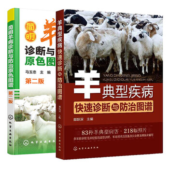 2册 羊典型疾病快速诊断与*图谱+简明羊病诊断与*原色图谱 养羊技术书籍大全山羊生态养殖书