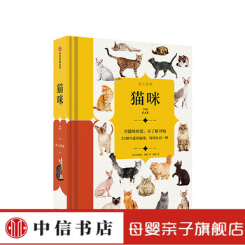纸上景观 猫咪 珍妮弗普林著 各地53种猫咪一座精美的纸上猫咪乐园，一本有趣的猫咪发展史