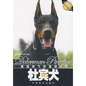 威猛帅气的德国士兵:杜宾犬【正版图书，放心下单】