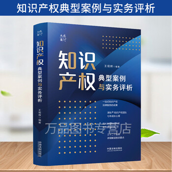 知识产权典型案例与实务评析 王现辉 四大类型知识产权案例全面汇总 三十二个案例详细解读胜诉要点 中国法制出版社 9787521624748