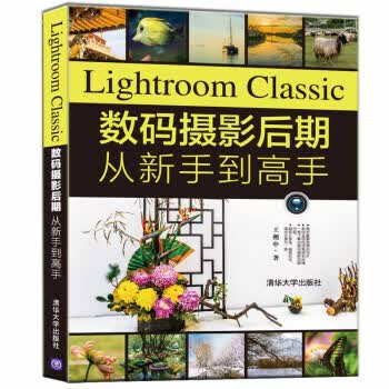 数码摄影后期 从新手到高手 王朔中 著 9787302555711 清华大学出版社