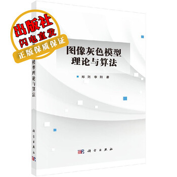 图像灰色模型理论与算法