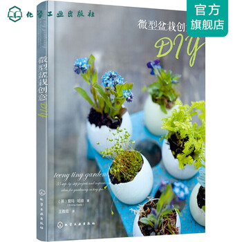 微型盆栽创意DIY