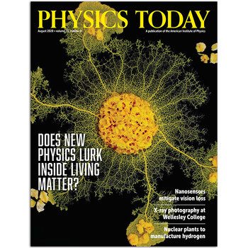 【单期可选】Physics Today 今日物理学杂志 2020/21年月刊 2020年8月刊