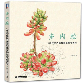 多肉绘:38种多肉植物的色铅笔图绘 飞乐鸟