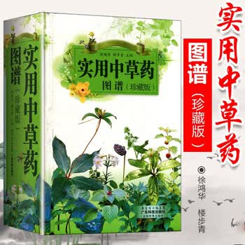 实用中草药图谱(珍藏版) 中医彩色中药鉴别识别鉴定应用图册大全 600种常见中草药 徐鸿华 楼步青