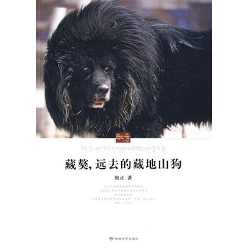 藏獒，远去的藏地山狗