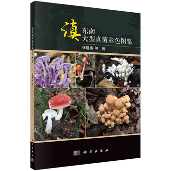 滇东南大型真菌彩色图鉴/伍建榕等