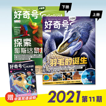 【共3本】好奇号 杂志2022年1/2/3/4/5期 中文版美国Cricket Media期刊科学历史科普少儿科普杂志7-15岁中英双语 2021年11月探索哥斯达黎加+羽毛的诞生