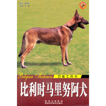 比利时马里努阿犬工作犬