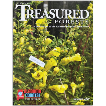 【单期可选】Alabama's Treasured Forests 阿拉巴马珍贵森林 2020年春夏 2020年夏季刊