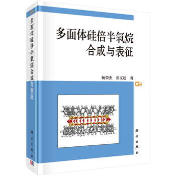 多面体硅倍半氧烷合成与表征/杨荣杰,张文超