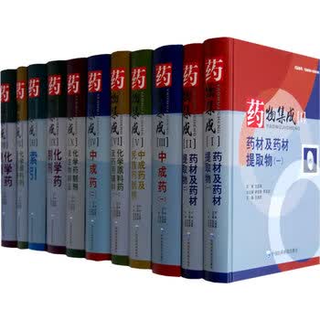 药物集成 梁安鹏,李玉龙　主编