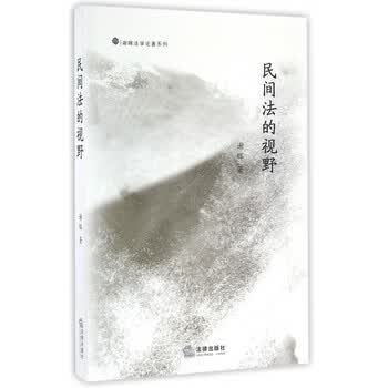民间法的视野/谢晖法学论著系列