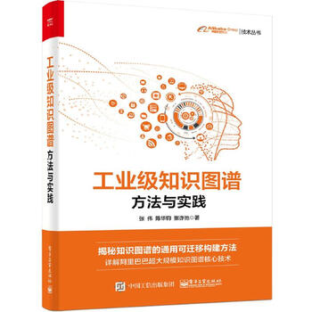 工业级知识图谱：方法与实践 图书