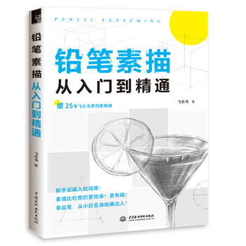 铅笔素描从入门到精通 飞乐鸟
