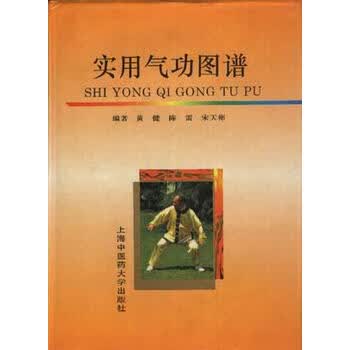 正版图书 实用气功图谱 精 黄健 上海浦江教育出版社有限公司 9787810103381