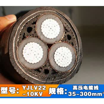 国标3芯10KV铝芯高压电力电缆35/50/70/120平方架空地埋电缆线 YJLV22-3*70平方高压10KV【图片 价格 品牌 报价】-京东