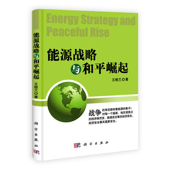 能源战略与和平崛起 王桂兰
