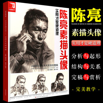 正版陈亮素描头像教学 从结构到大关系基础训练画面对照临摹范本 美术高考联考素描绘画教材教程书籍
