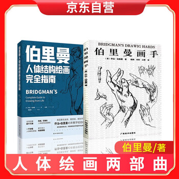 伯里曼人体结构绘画完全指南+伯里曼画手