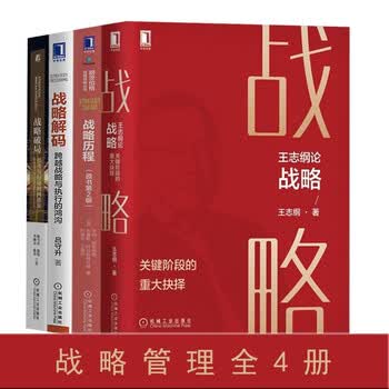 战略管理全4册： 王志纲论战略+战略破局+ 战略解码+战略历程